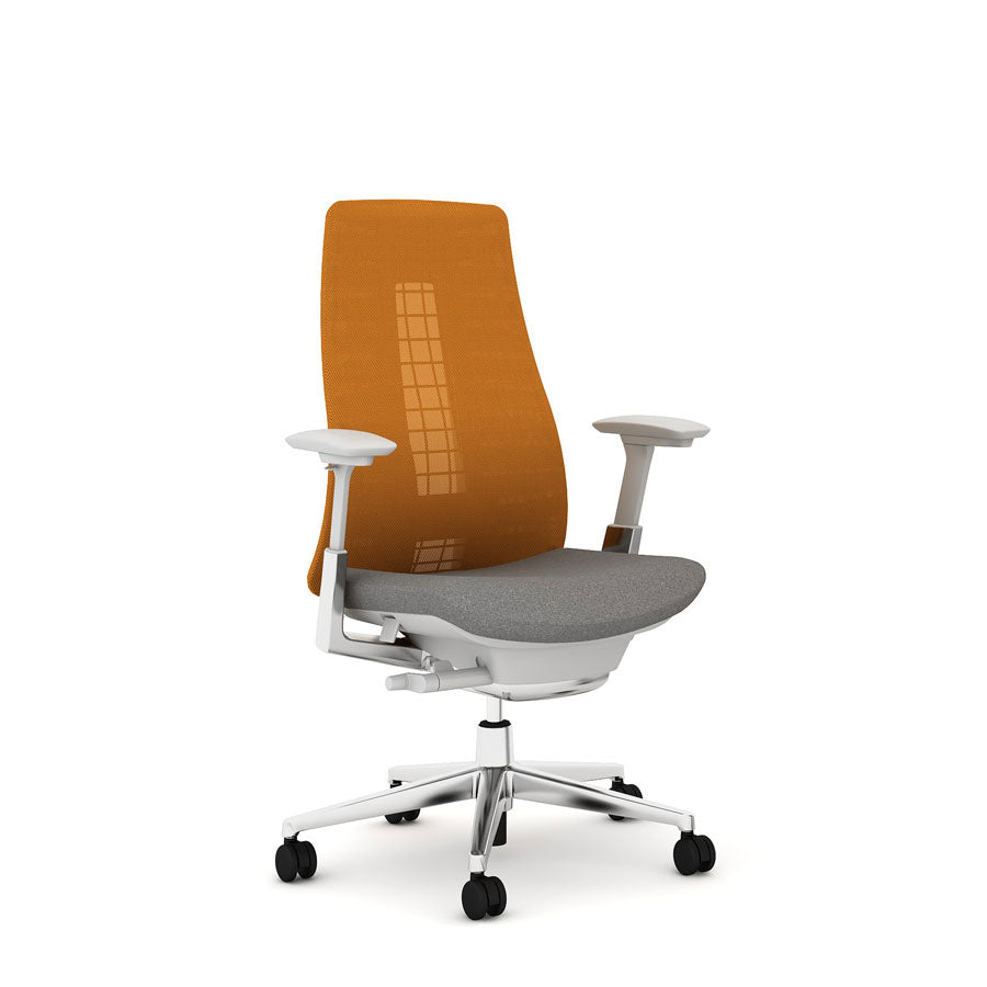 Haworth Fern Task - Karousel