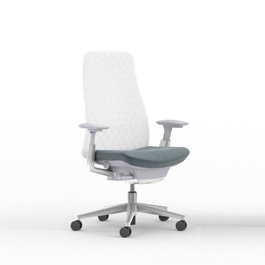 Haworth Fern Task - Karousel